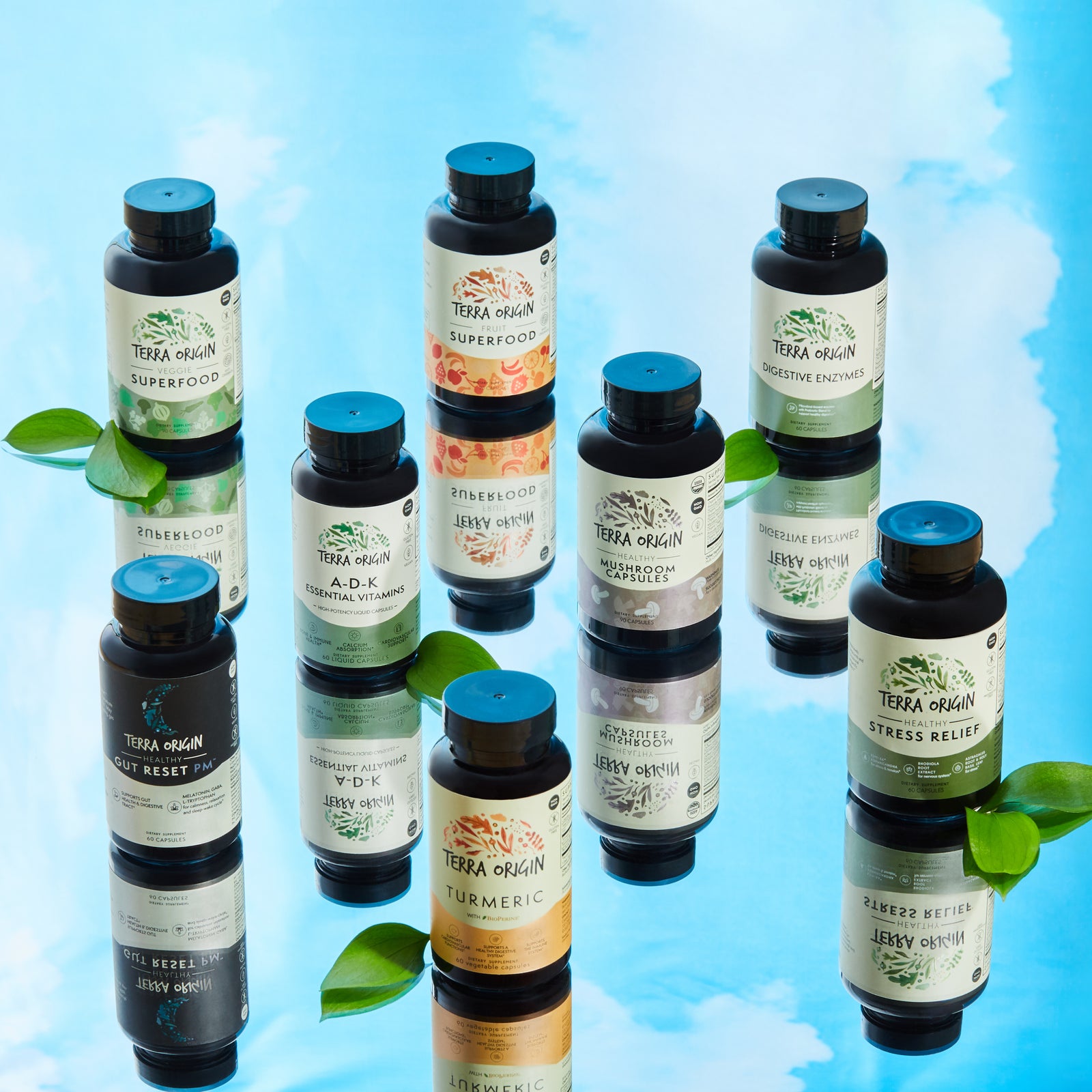 About Us: Ayurvedic-Influenced Health & Nutritional Supplements – Terra ...