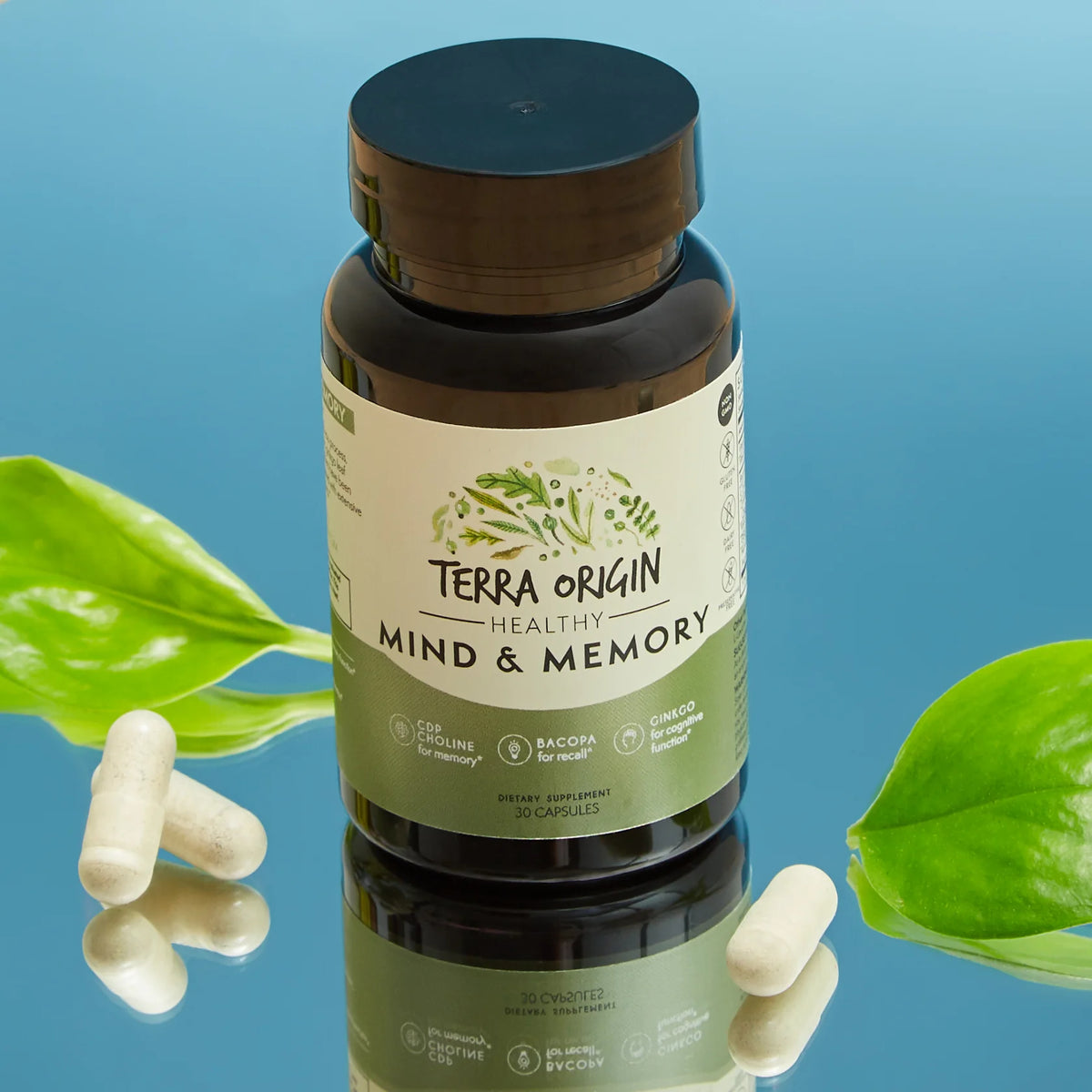 Rest & Reset – Terra Origin