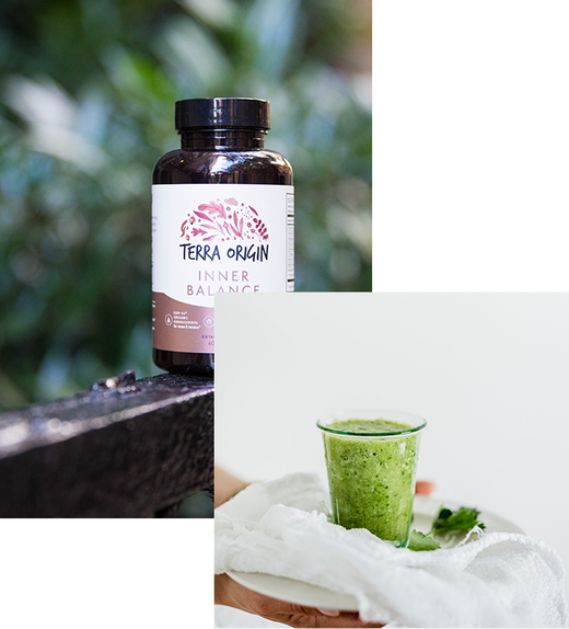 About Us: Ayurvedic-Influenced Health & Nutritional Supplements – Terra ...