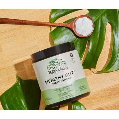 Healthy Gut Vegan Formula - Digestive Support - Shop Now – Terra Origin